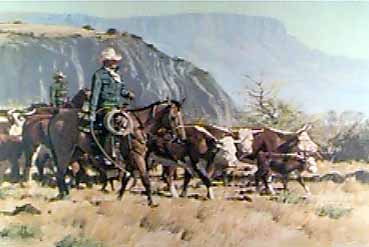 Willow Springs by Fred Fellows - Riecke's Bayside Gallery